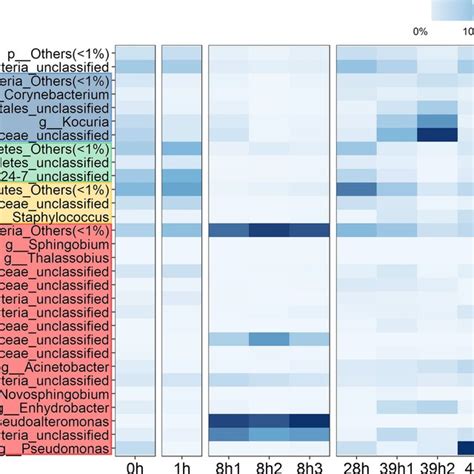 Relative Abundance Of Bacterial Otu Compositions At Genus Level For Download Scientific