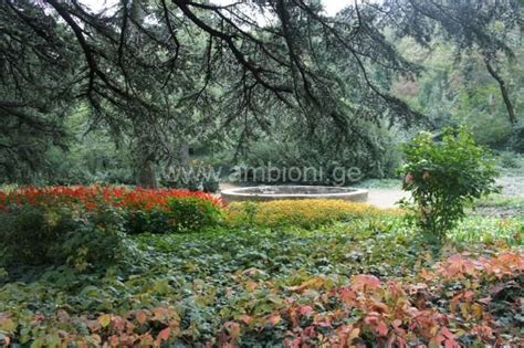 თბილისის ბოტანიკური ბაღიამბიონი