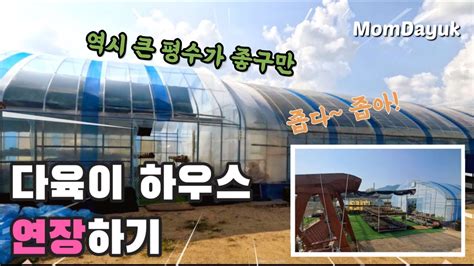 다육이 비닐하우스 연장하기 소규모 다육이 하우스 월동준비 Youtube