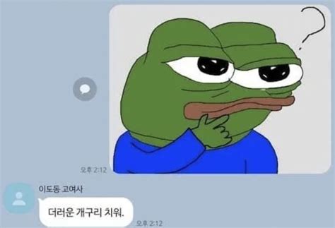 한국에선 잘 모르는 개구리 페페 밈 웃긴대학 웃긴자료