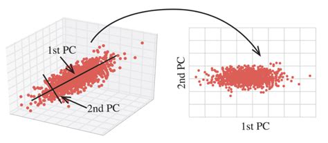 Principal Component Analysis In Practice By Emi Medium