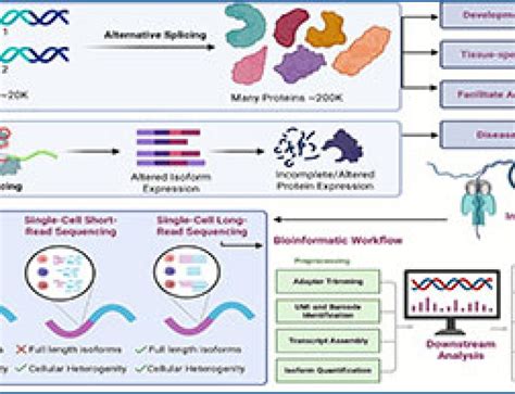 Scnet Integrating Protein Interaction Networks With Rna Sequencing