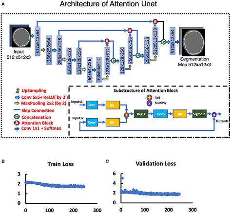 Frontiers Automated Identification Of Skull Fractures With Deep Learning A Comparison Between