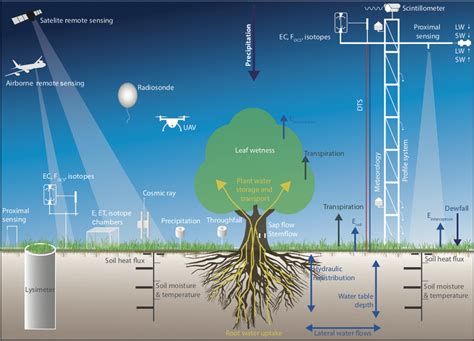 A Schematic Of An Ecosystem Experiment Designed To Measure Download Scientific Diagram