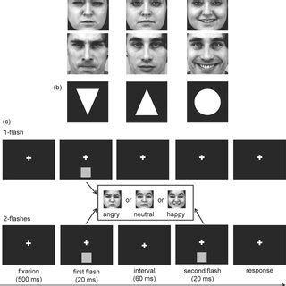 The Visual Stimuli And Schematic Representation Of The Procedure Used Download Scientific