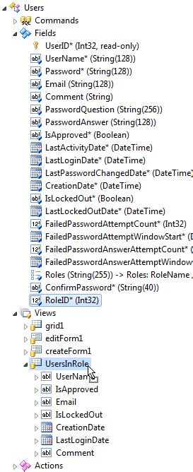 Code On Time Security Membership And Role Providers User Manager Advanced Adding Roles Tab