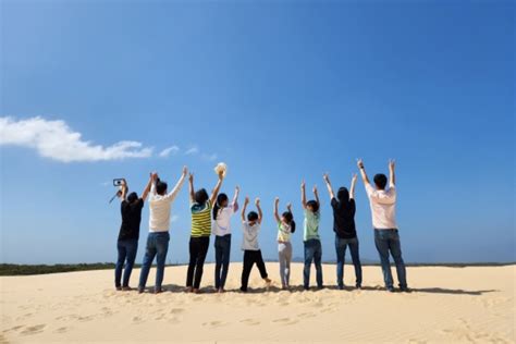 시드니 포트스테판 돌핀크루즈 And 사막 And 와이너리 투어 투어티켓 예약ㅣ데이오프