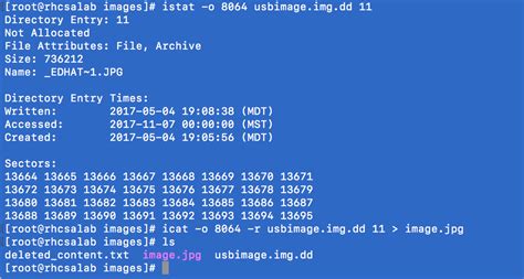 5 Ways I Found Your Deleted Files By Ally Petitt Medium