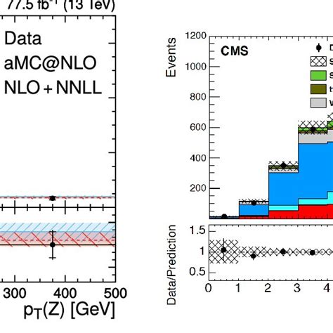 Measured Differential T ¯ T Z Production Cross Section In The Full