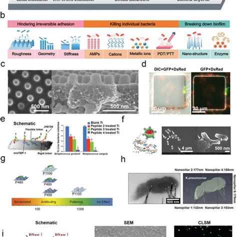 Surface Modifications For Preventing Bacterial Adhesion A Key Surface
