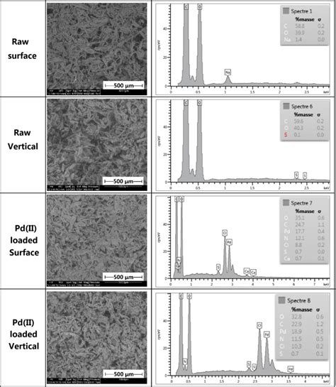 Sem Edx Micrographs Of Raw And Pd Ii Loaded Foams Download