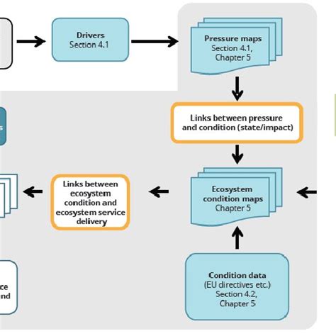 3 The Ecosystem Mapping And Assessment Process With Steps Covered In