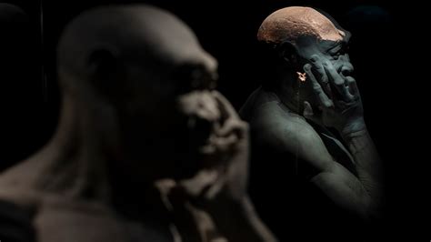 Dispute Over ‘java Man Raises A Question Who Owns Prehistory The