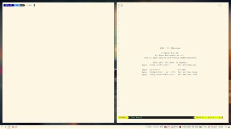 set columns stops neovim from filling the entire terminal window
