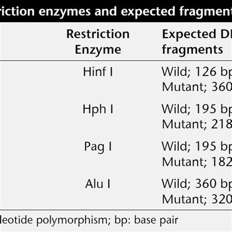 Restriction Enzymes And Expected Fragment Sizes Download Scientific Diagram
