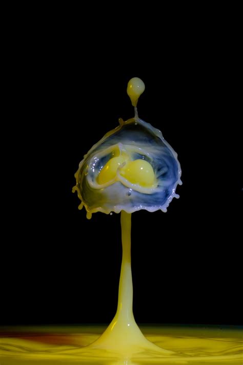 무료 이미지 하락 액체 빛 꽃 유리 반사 스프레이 노랑 조명 똑똑 떨어지는 물방울 소리 매크로 사진 고속 물이 튀다 1669x2504