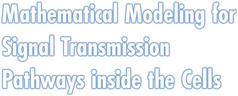 Mmds Osaka University Center For Mathematical Modeling And Data Science Takashi Suzuki