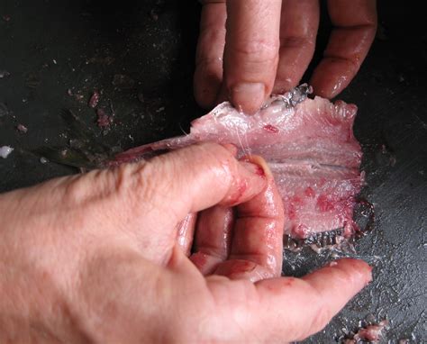 Sardines How To Descale And Bone Them Fincafood