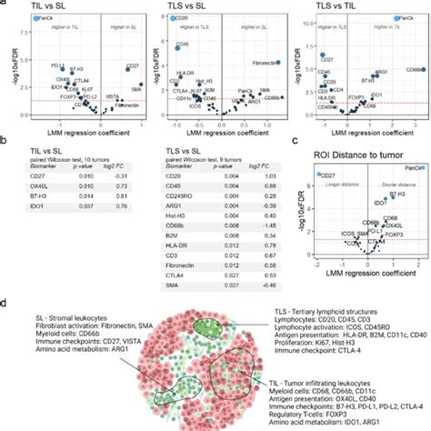 Tumor Immune Microenvironment Time Heterogeneity Across Patients And Download Scientific
