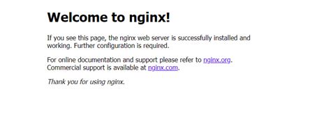 Usage Guidelines SUSE Enterprise With NginX Virtual Pulse S R O News