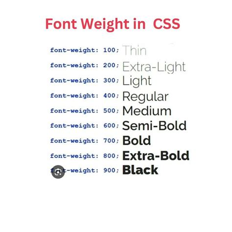 Font Weight In Css Html And Css Tutorial For Beginner Css Tutorial