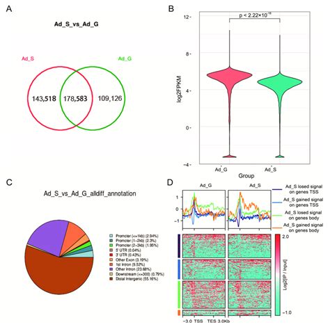 Chip Seq Analysis After Sirt1 Overexpression A The Venn Diagrams Of