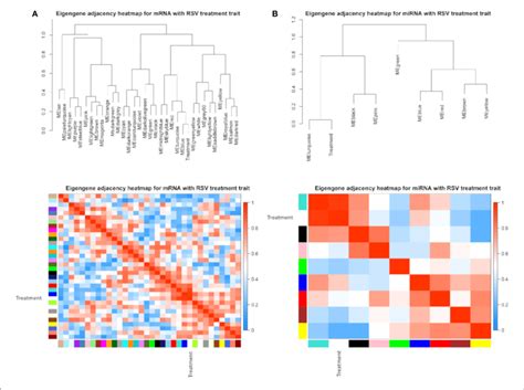 Eigengene Dendrogram And Adjacency Heatmap Of Different Co Expression Download Scientific