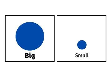 Bigsmall Visual By Taiylor Demarco Tpt