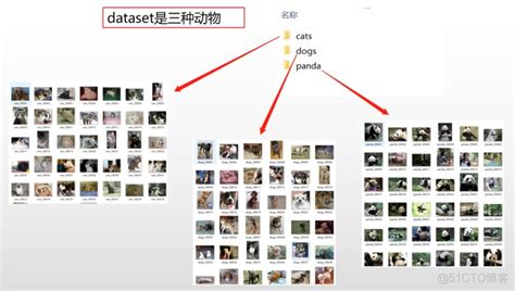Cnn在图像识别的优势 Cnn图像分类实战项目mob64ca13f9a97c的技术博客51cto博客