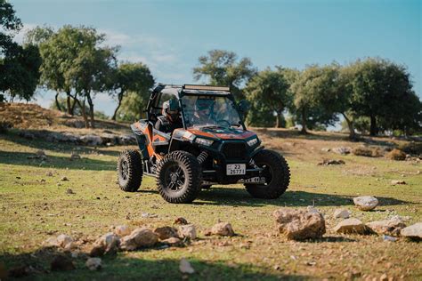 Bait Shaker 2026 All You Must Know Before You Go With Reviews