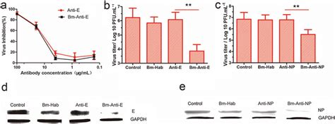 A Plaque Reduction Neutralization Assays Prnt50 B Denv Titers