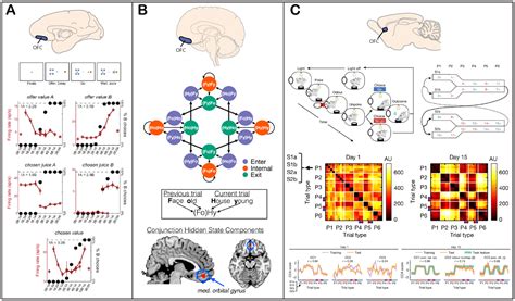The Orbitofrontal Cortex A Goal Directed Cognitive Map Framework For Social And Non Social