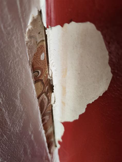 corner of a room has movement r diynz