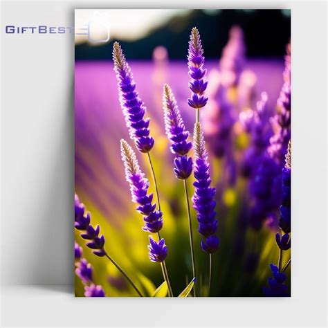 بایگانی‌های فنگ شویی خرید تابلو شاسیبهترین هدیه