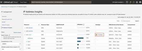 Announcing Ip Address Insights On Oracle Cloud Infrastructure