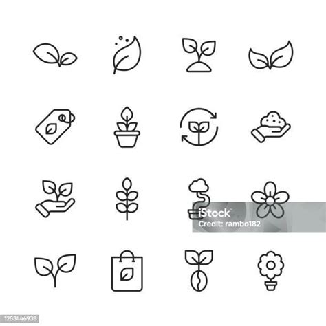 식물 및 종자 라인 아이콘 편집 가능한 스트로크 픽셀 완벽한 모바일 및 웹용 식물 씨앗 잎 나무 생태학 환경 농업 심기 성장 급수 재활용 비료 토양 꽃 원예 화과원 과 같은