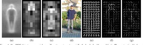 Pdf Histograms Of Oriented Gradients For Human Detection Semantic