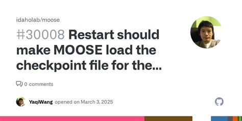 Restart Should Make Moose Load The Checkpoint File For The Mesh · Issue 30008 · Idaholab Moose