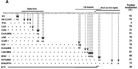 Nuclear Localization Of Different Mutated Vpr Proteins In Cos Cells