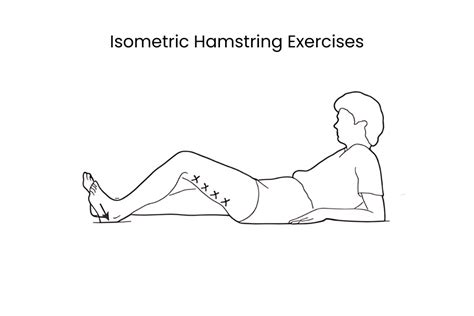 Isometric Hamstring Exercises Bulletproof Your Hamstrings In 2024 With