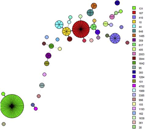 minimal spanning tree based on multilocus sequence typing of