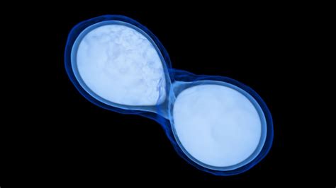 When Dead Stars Collide They Cool Down By Sending Out Special Tiny