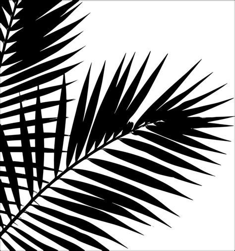 Tropical Leaf Silhouette
