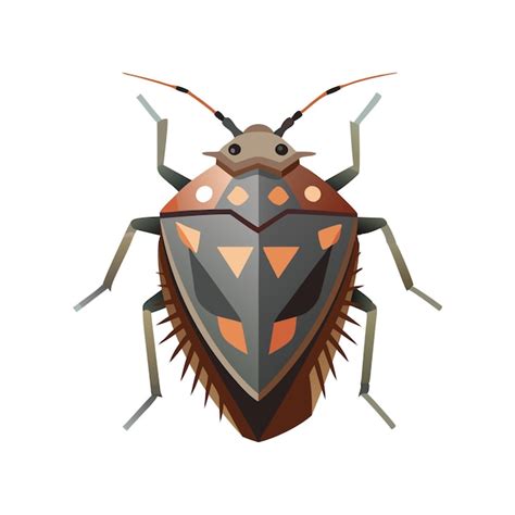 Page 5 Fulgorid Bug Vectors And Illustrations For Free Download