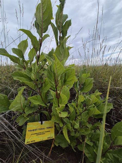 Монгол улсад Аялал жуулчлалын байгууллага үүсч хөгжсөний 70 жилийн ойн хүрээнд Дэлхийн Аялал