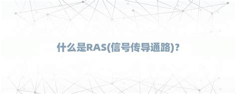 什么是ras 信号传导通路 ？ 密码极客