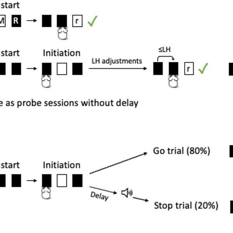 Stop Signal Task Training And Testing Stages First Training Stage
