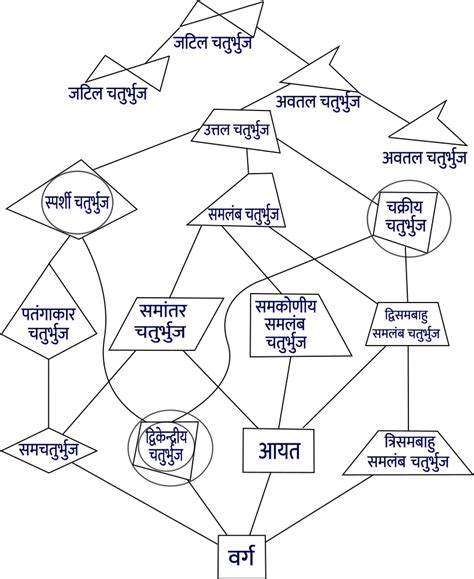 Quadrilateral Hierarchy Hi Png Diagram Free Transparent PNG