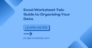 Excel Worksheet Tab Guide To Organizing Your Data