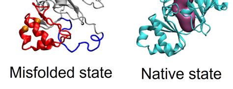Why Synonymous Mutations Are Not Always Silent Eberly College Of Science